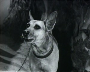 Oonche Log (1965) | MemsaabStory
